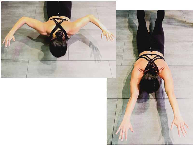 PulsePEMF_PRONE_LAT_PULLDOWN - Pulse PEMF