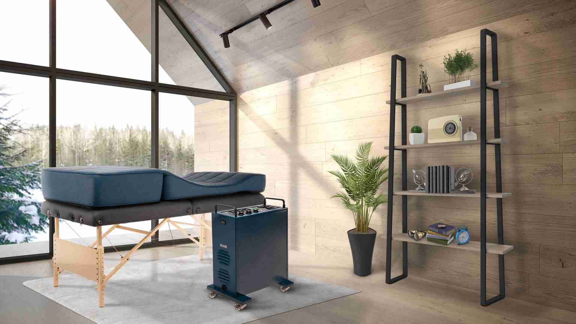 PulsePEMF_Lifestyle_Pulse_XLPRO - Pulse PEMF