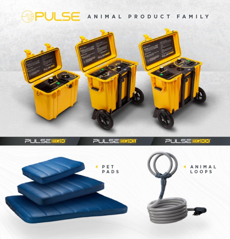 PEMF Origins and Usage Throughout History