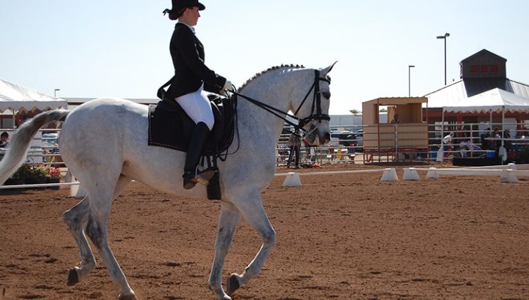 Exercise Physiology and PEMF for the Equine Athlete