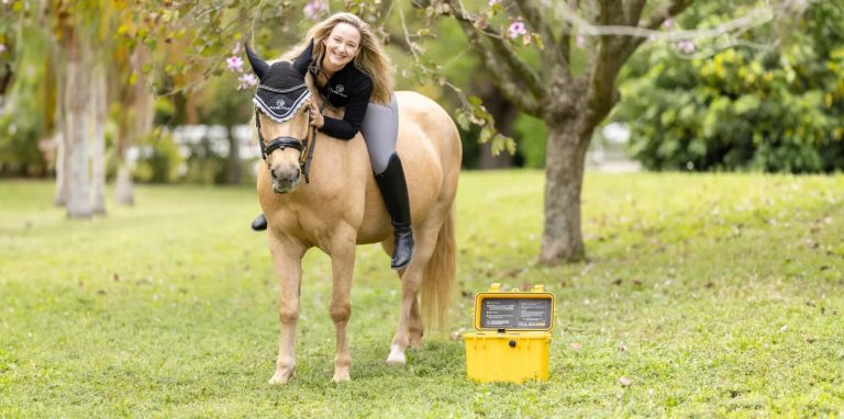 Exploring The Right PEMF Device For Equine Use - Pulse PEMF