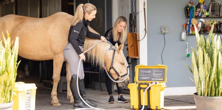 Exploring The Right PEMF Device For Equine Use - Pulse PEMF