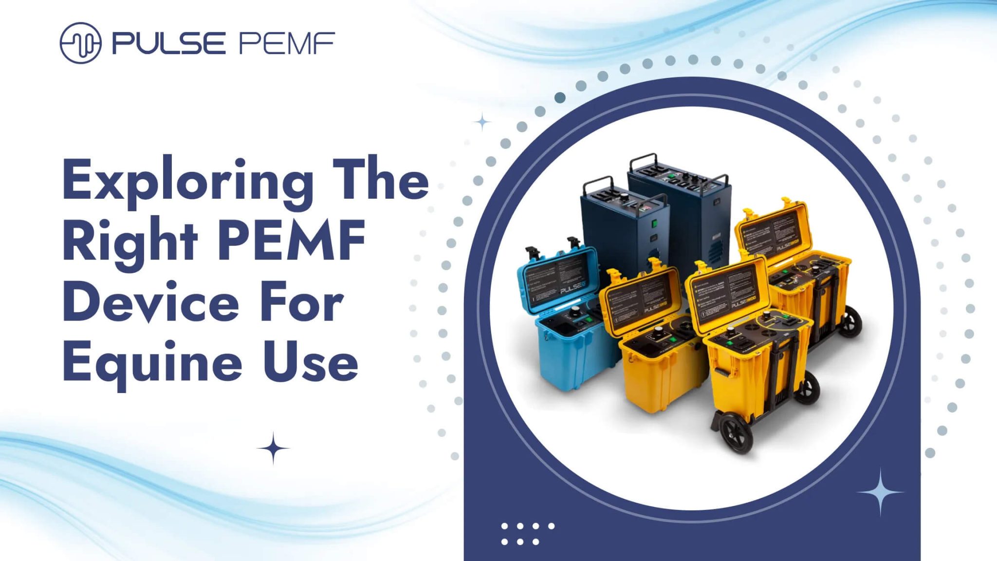 Exploring The Right PEMF Device For Equine Use - Pulse PEMF