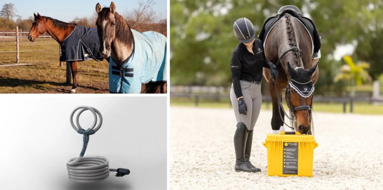 PEMF Horse Therapy FAQs: Everything You Need To Know