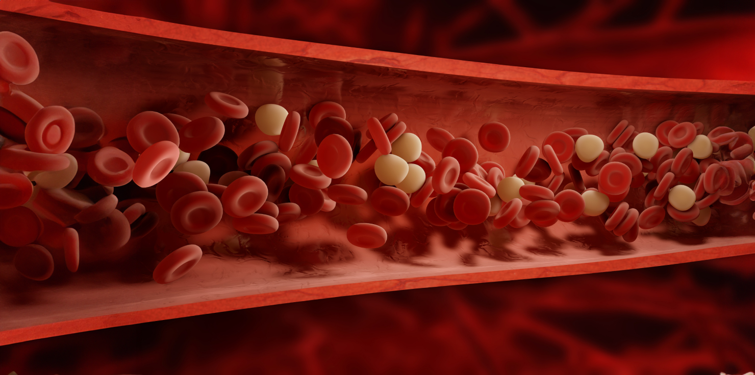 5 Ways PEMF May Accelerate Muscle Recovery for Athletes - Pulse PEMF