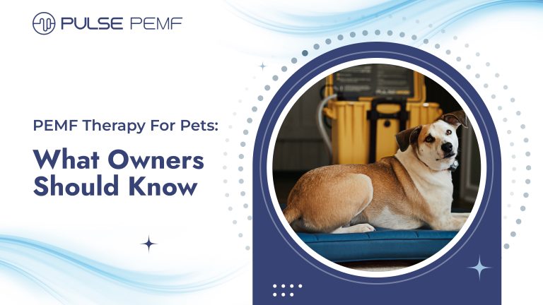 PEMF Therapy For Pets: What Owners Should Know - Pulse PEMF