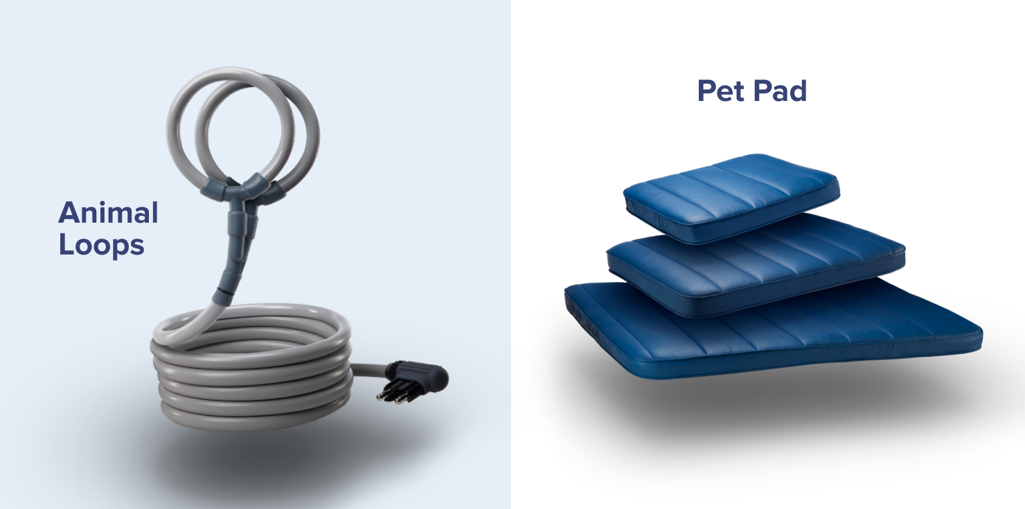 Types of PEMF Devices to Consider for Your Pet