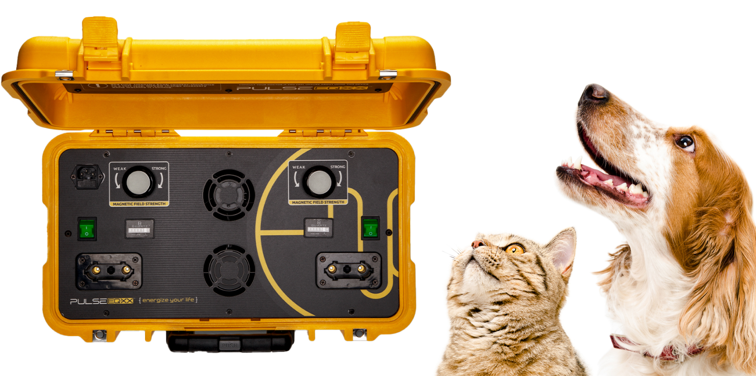 How PEMF Devices Work for Pets: A Technical Overview - Pulse PEMF