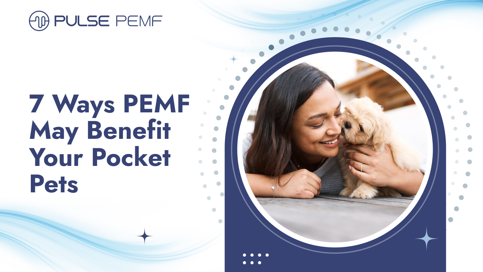 7 Ways PEMF May Benefit Your Rabbits, Guinea Pigs, And More