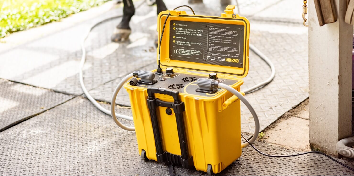 How To Use A PEMF Loop For Horses: A Step-by-Step Guide - Pulse PEMF