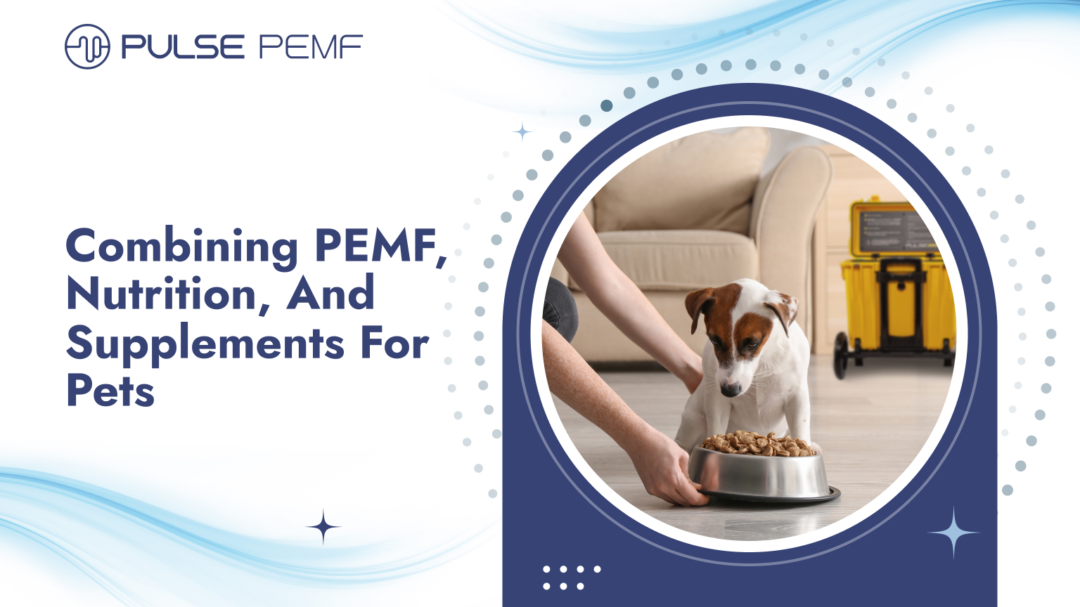 Combining PEMF, Nutrition, And Supplements For Pets - Pulse PEMF