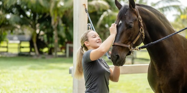 How To Use A PEMF Loop For Horses: A Step-by-Step Guide - Pulse PEMF