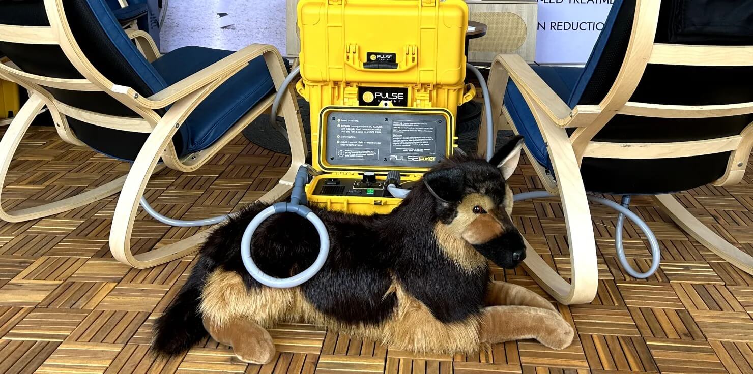 Exploring The Synergy: Traditional Veterinary Care And PEMF