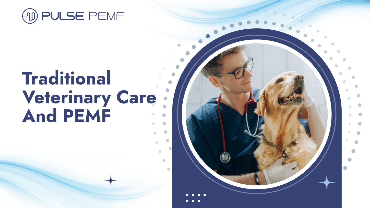 Exploring The Synergy: Traditional Veterinary Care And PEMF
