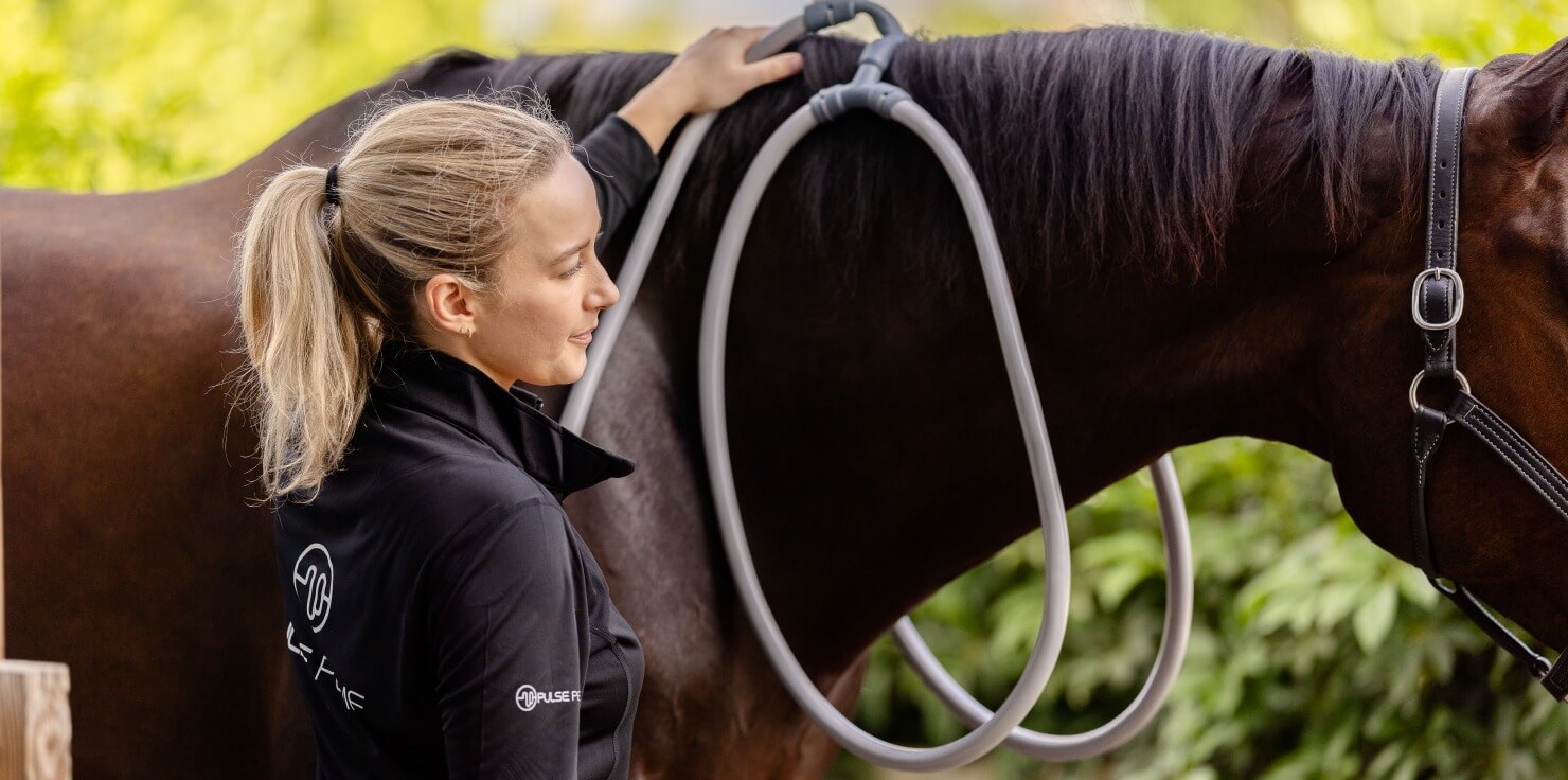 How To Use A PEMF Loop For Horses: A Step-by-Step Guide - Pulse PEMF