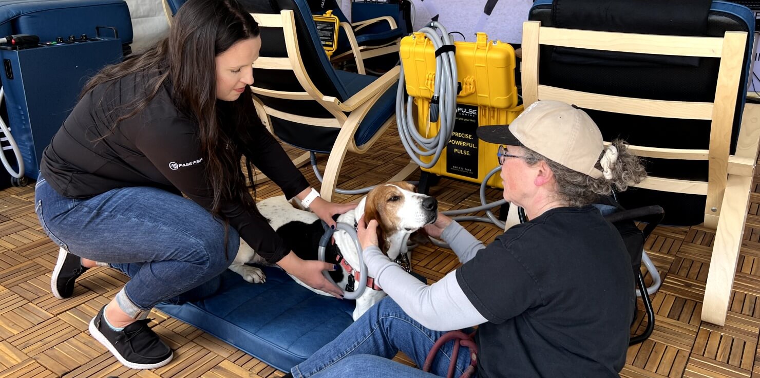 Training with PEMF: Enhancing the Capabilities of Service Animals ...