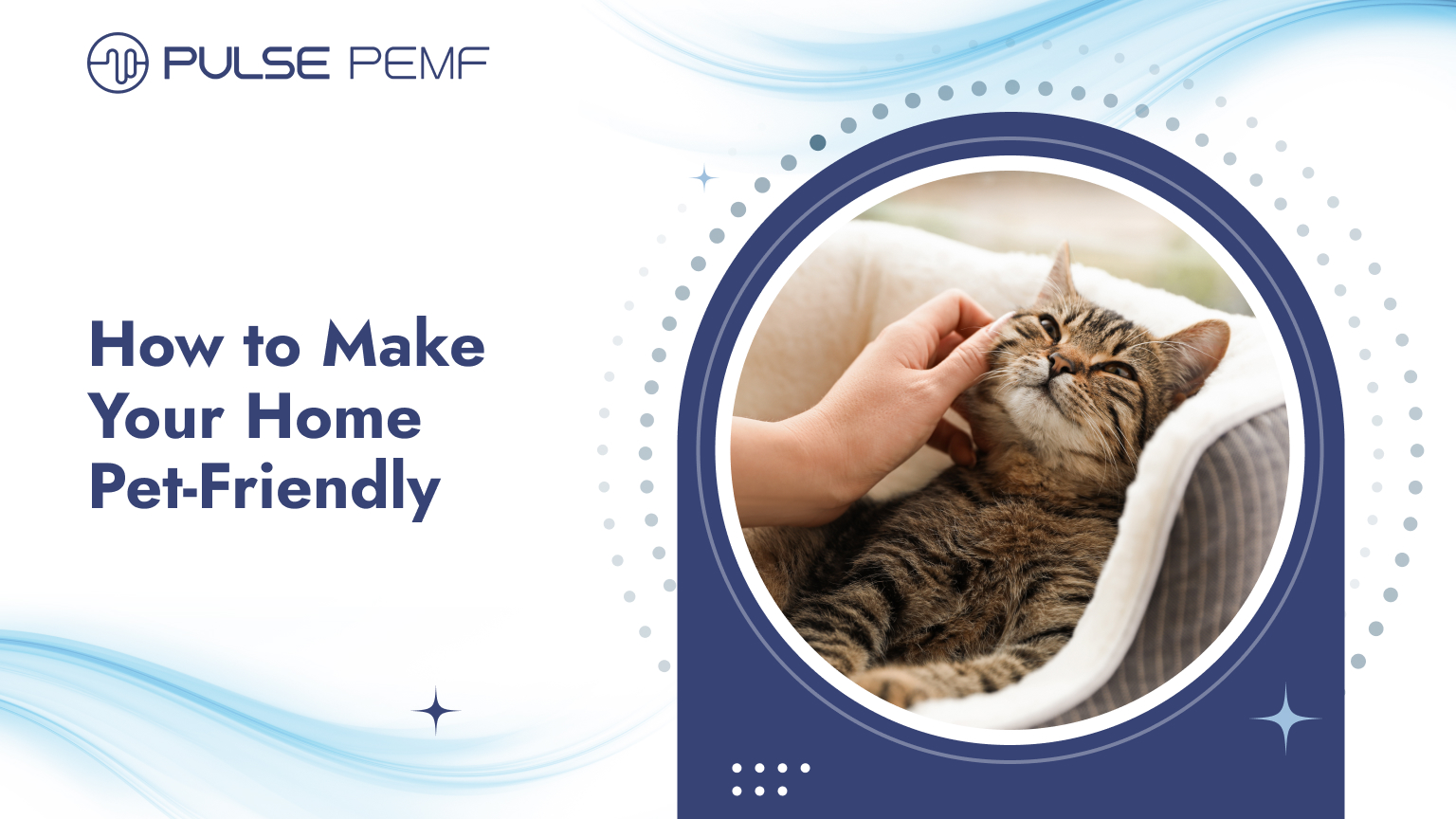Home Sweet Home: How to Make Your Space Pet-Friendly - Pulse PEMF