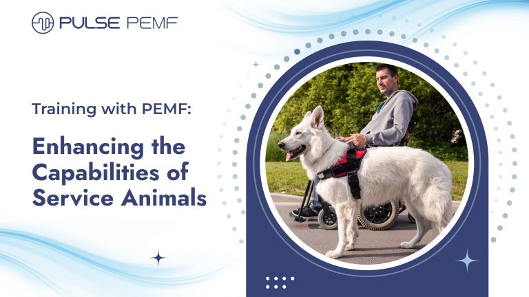 Training with PEMF: Enhancing the Capabilities of Service Animals ...