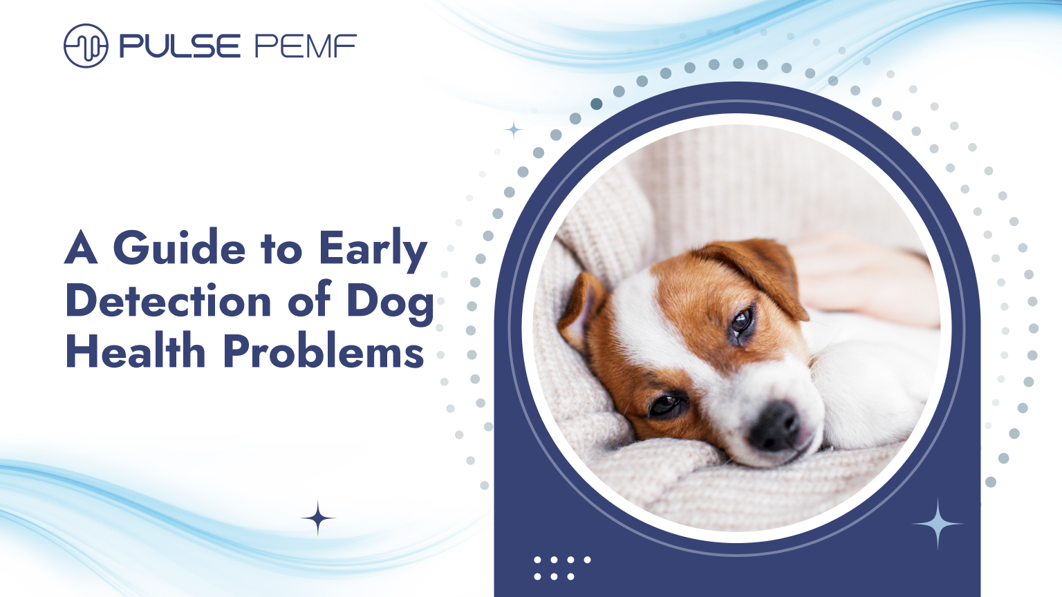 A Guide to Early Detection of Dog Health Problems - Pulse PEMF