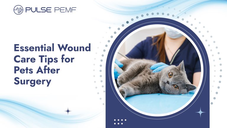 Essential Wound Care Tips for Pets After Surgery - Pulse PEMF