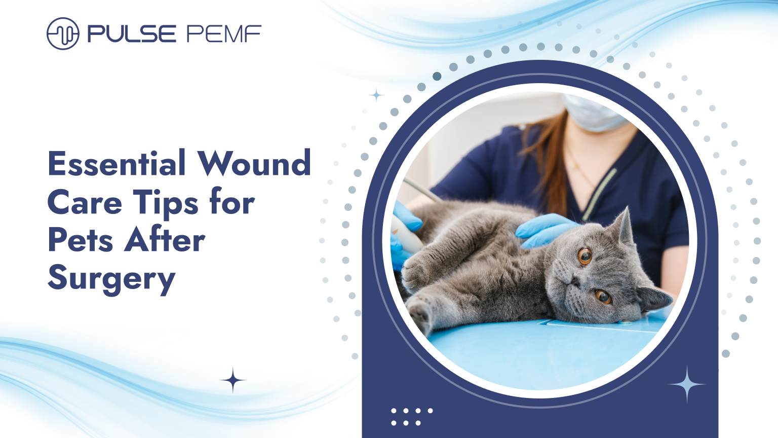 Essential Wound Care Tips for Pets After Surgery - Pulse PEMF