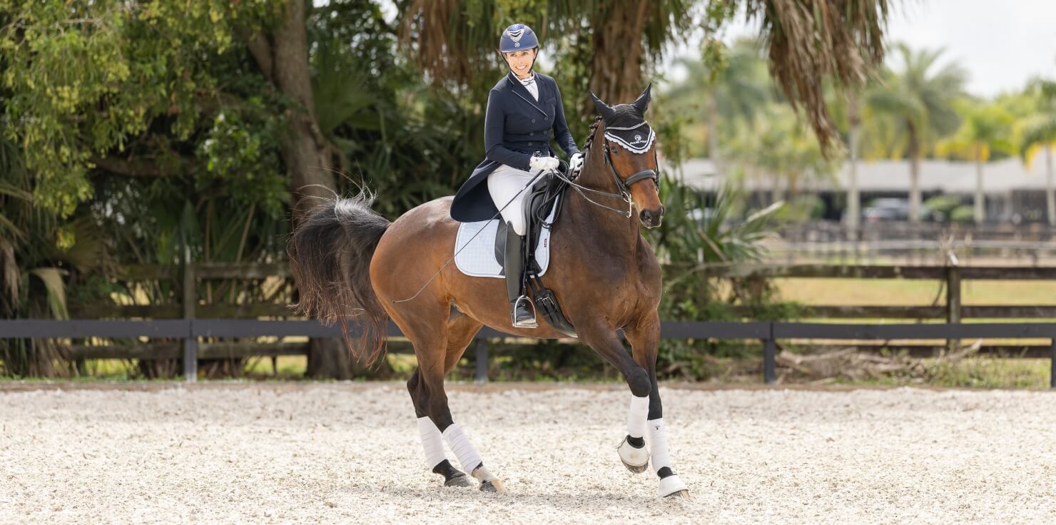 7 Steps to a Shiny Coat: Horse Grooming Tips - Pulse PEMF