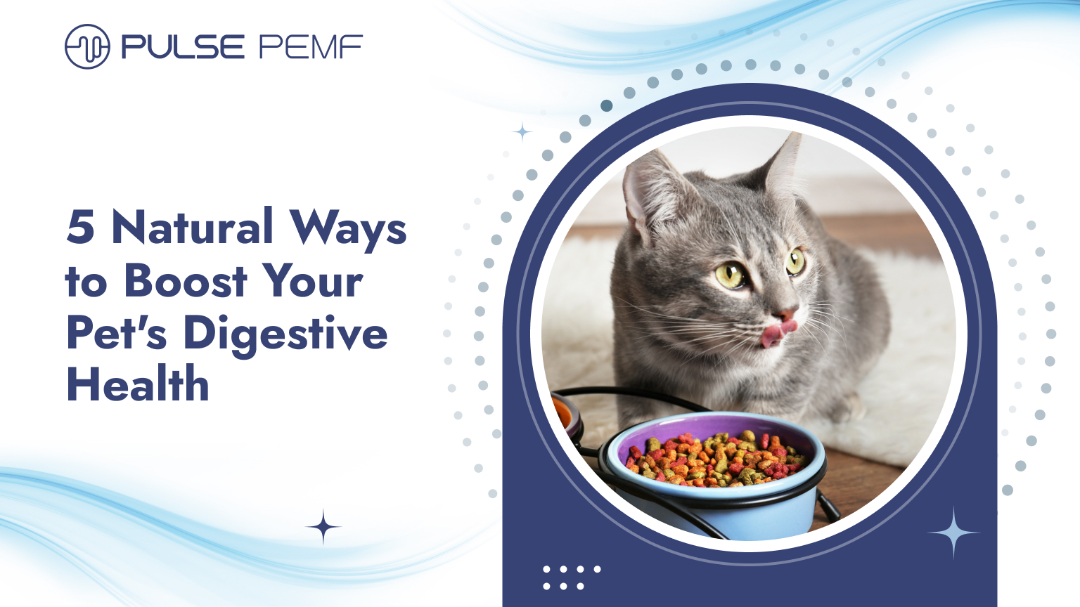 5 Natural Ways to Boost Your Pet's Digestive Health - Pulse PEMF