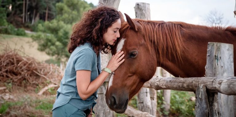How to Recognize Signs of Stress in Horses - Pulse PEMF