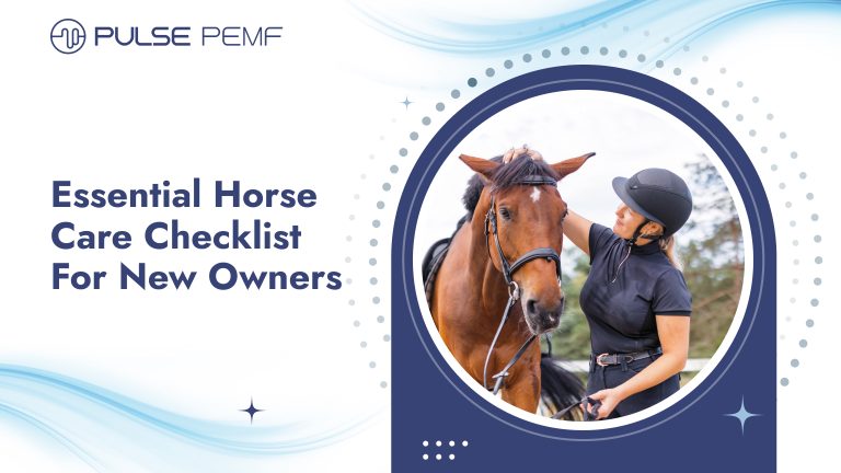 Essential Horse Care Checklist For New Owners - Pulse PEMF