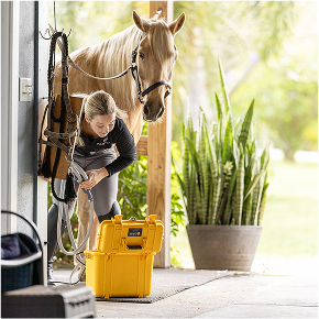 The Ultimate Quick-Start Guide to PEMF: Innovative Equine Therapy