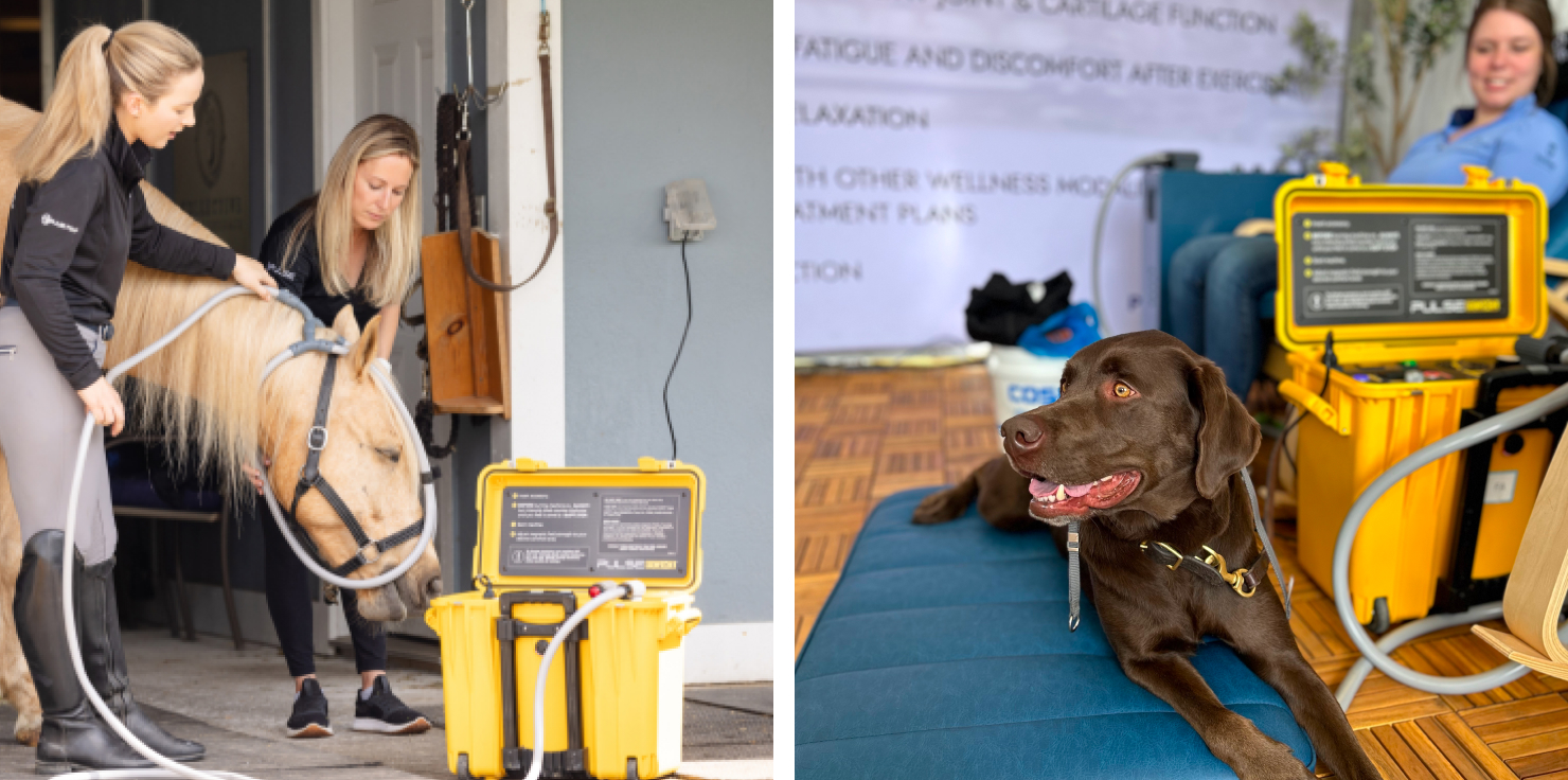 PEMF Technology In 2025: Redefining Healing And Recovery - Pulse PEMF